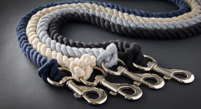 Best Dog Collars, Leashes & Harnesses | PetPassion – Pet Passion